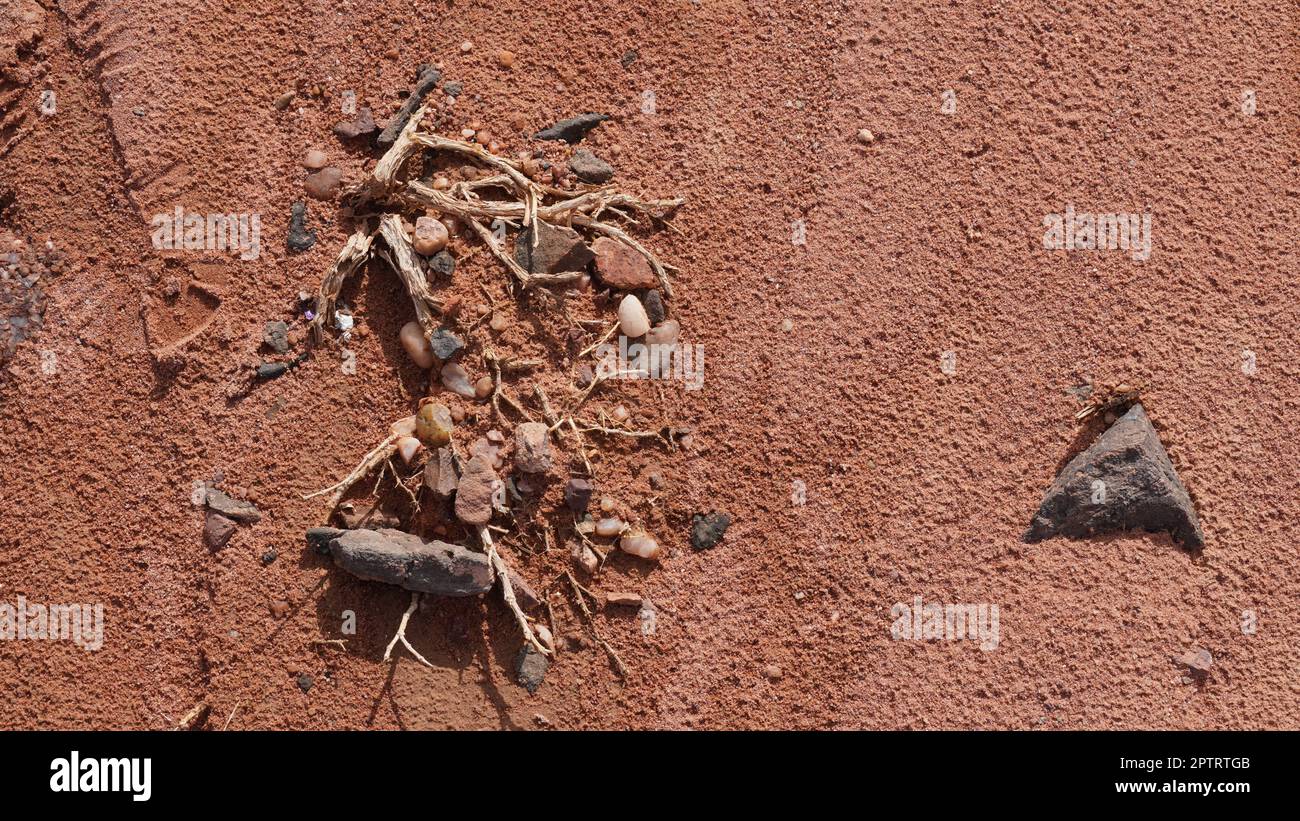 Red soil terrain after rain, in the national geological Timna park ...