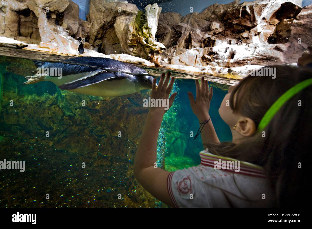 Aquarium photos hi-res stock photography and images - Alamy