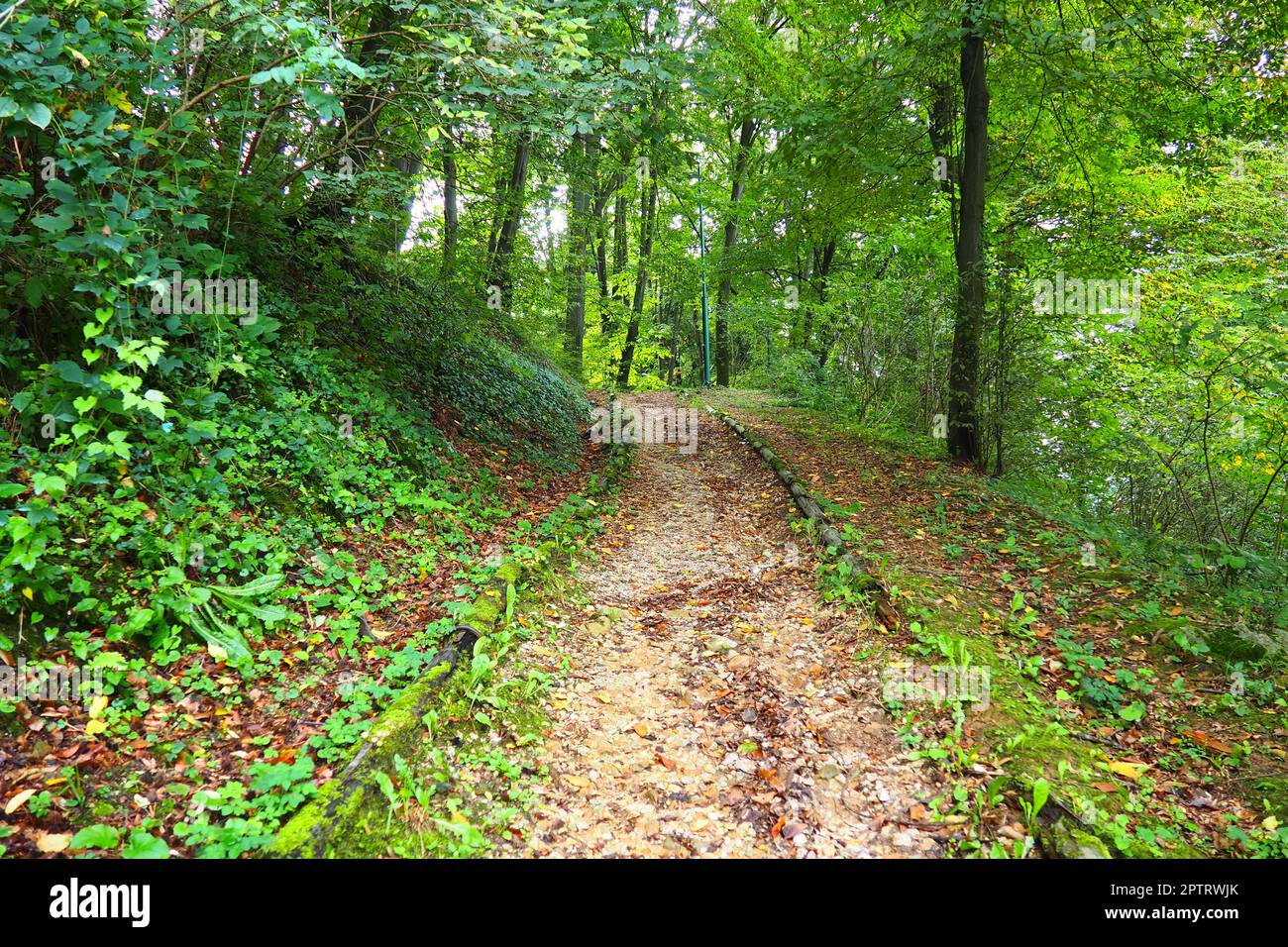 Banja Koviljaca, Loznica, Serbia. Mount Guchevo, park and forest ...
