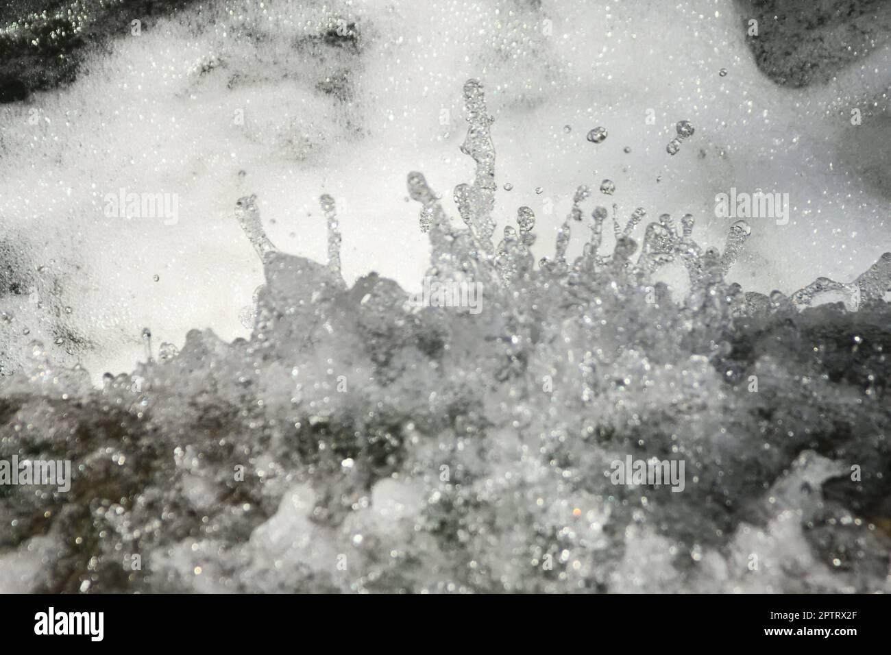 Clear, fresh stream of water splattering in a natural creek ...