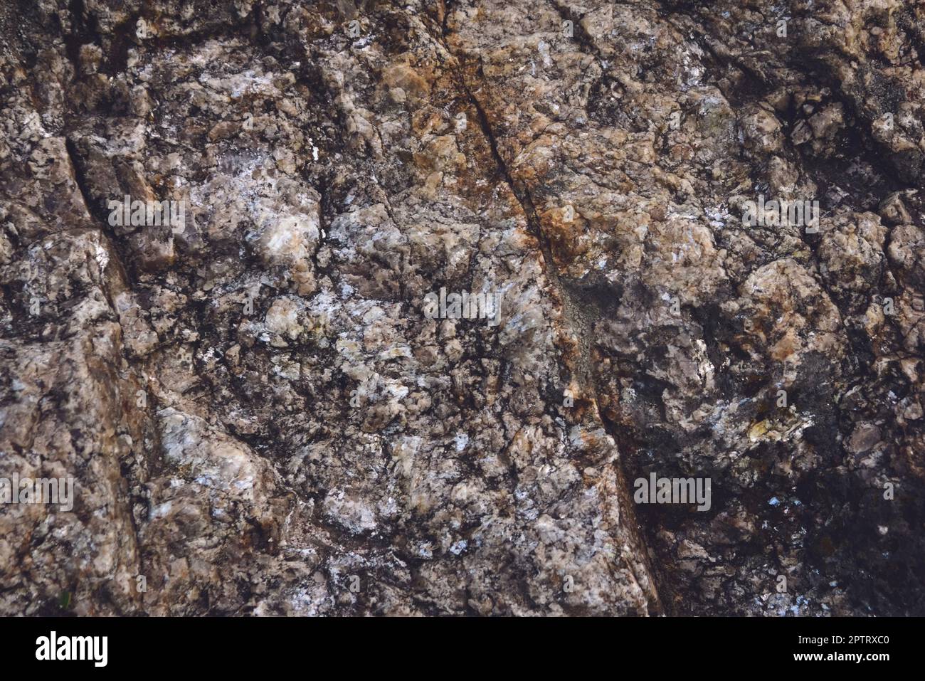 Natural granitic rock texture. Close up detail Stock Photo - Alamy