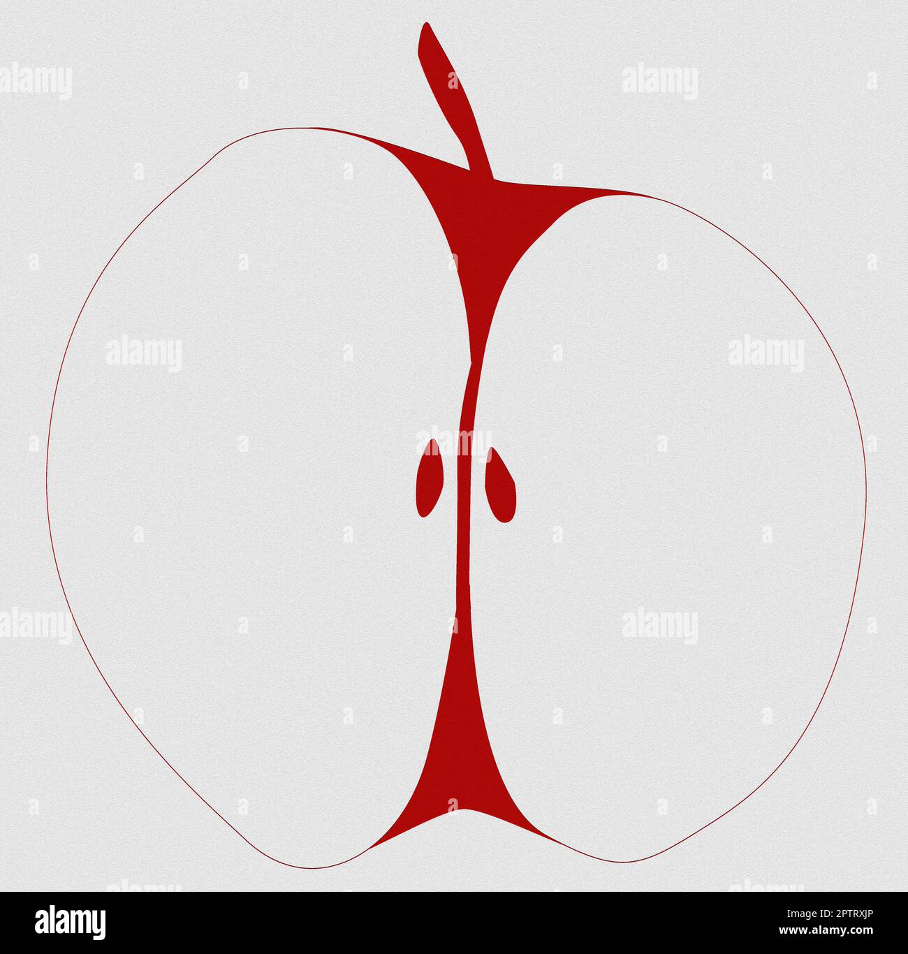 A typical apple sketch cut in half set against a white background Stock ...