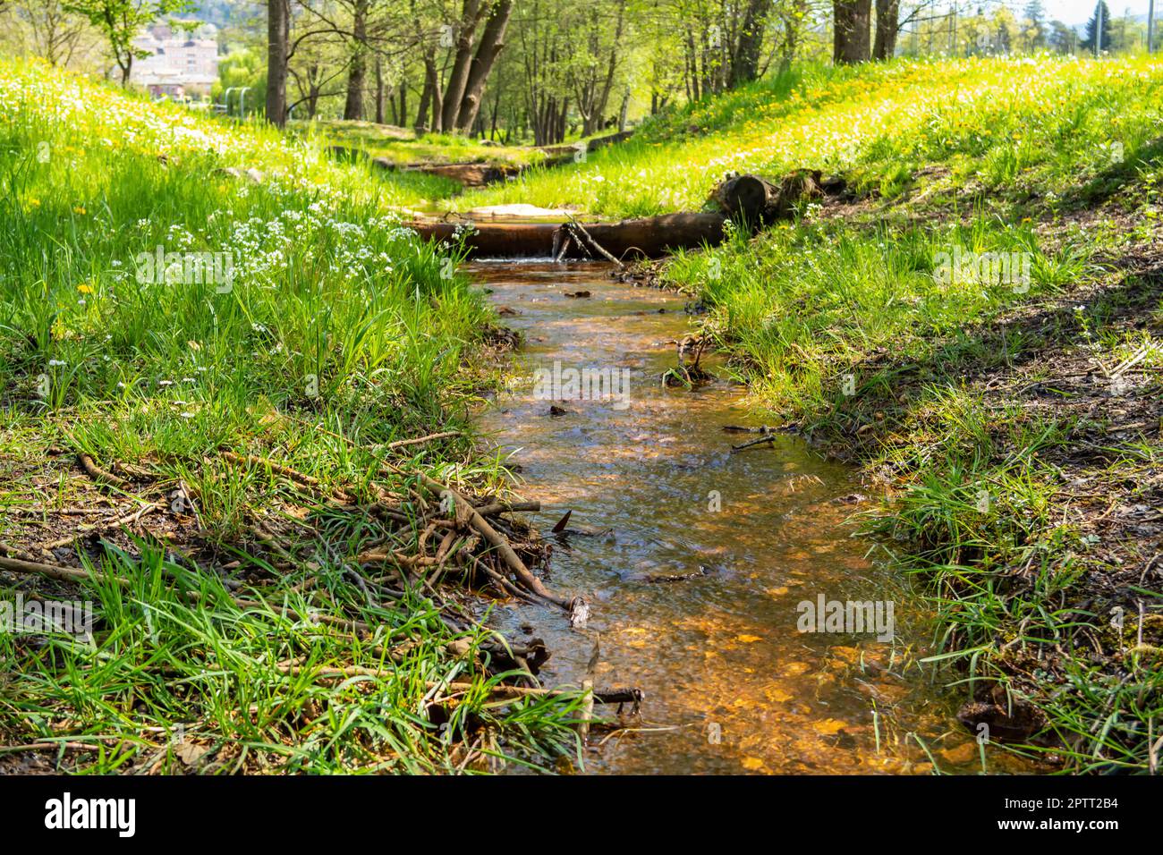 View of a small river near the lake in Levico, Italy Stock Photo - Alamy