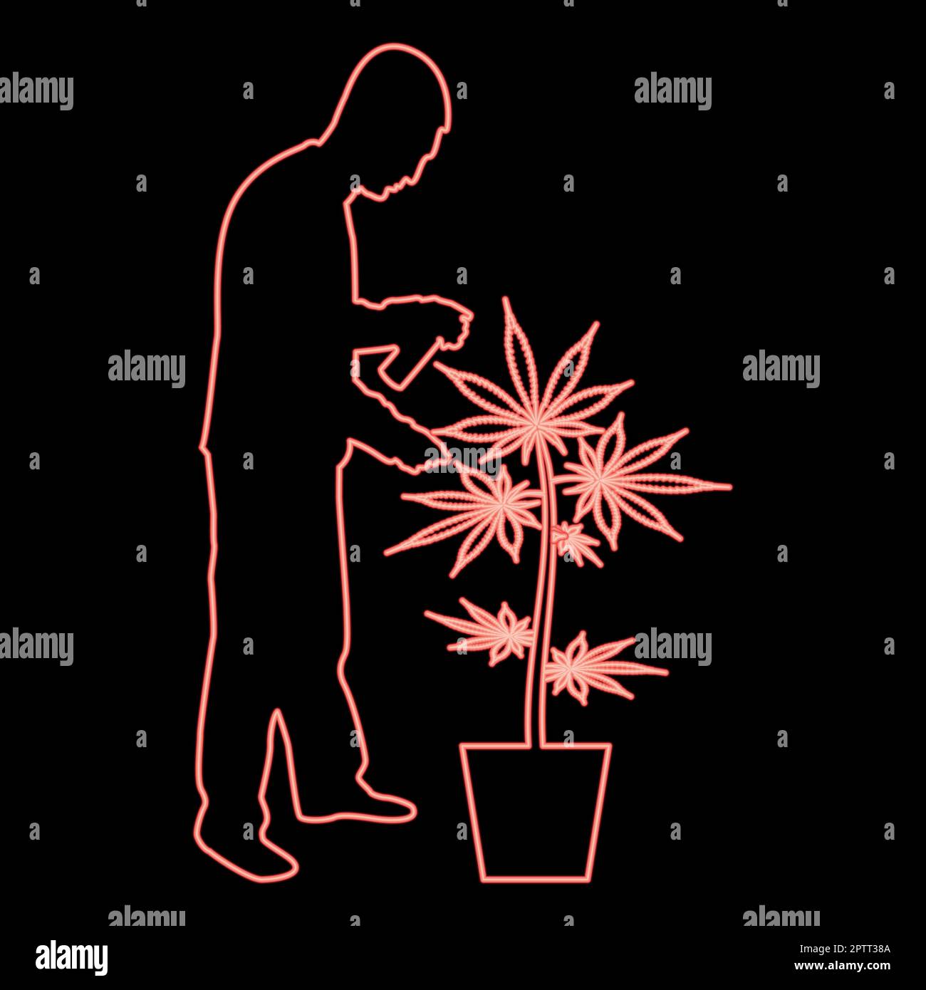 Neon man caring for marijuana plant in pot Water spraying using hand ...