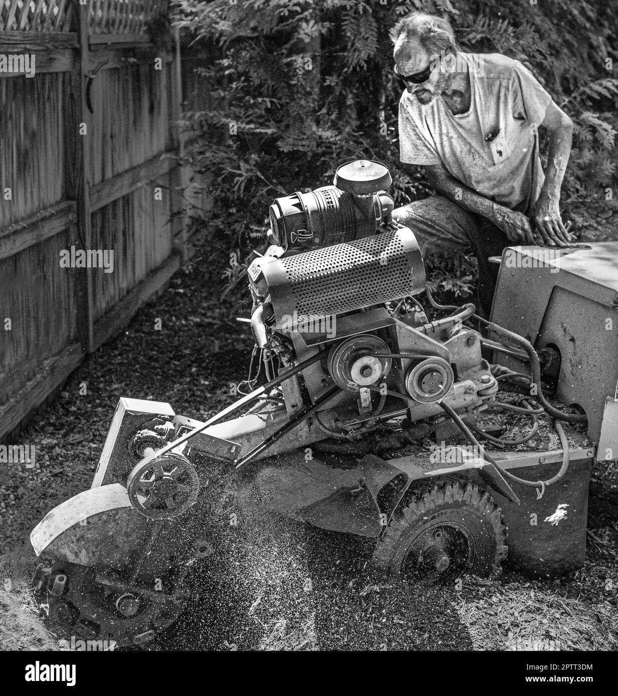 Tree stump grinder Black and White Stock Photos & Images - Alamy