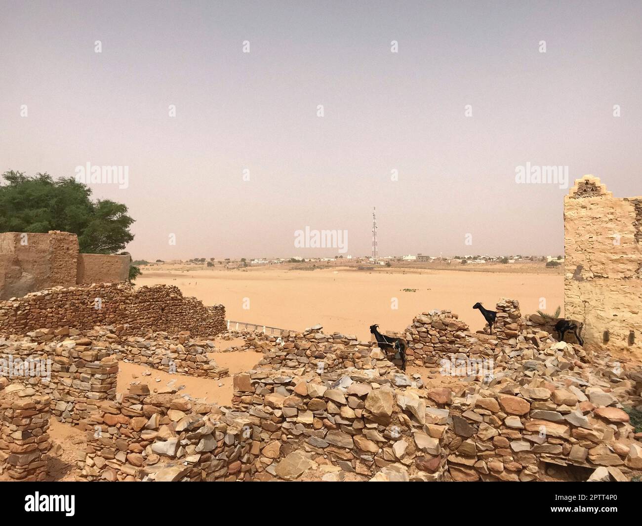 Mauritania, Chinguetti, Old town Stock Photo - Alamy