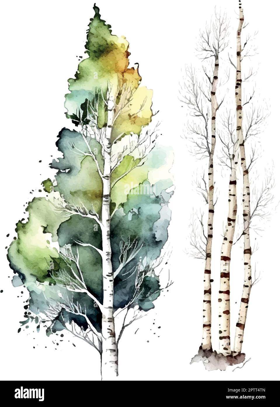 Watercolor birch trees Russia tree Design element for wallpapers, web ...