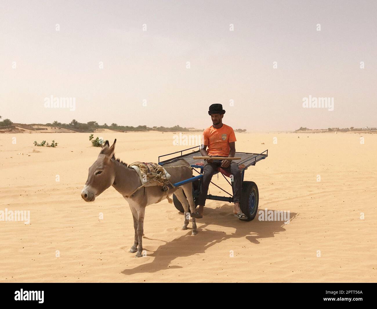 Mauritania, Chinguetti, batha Stock Photo - Alamy