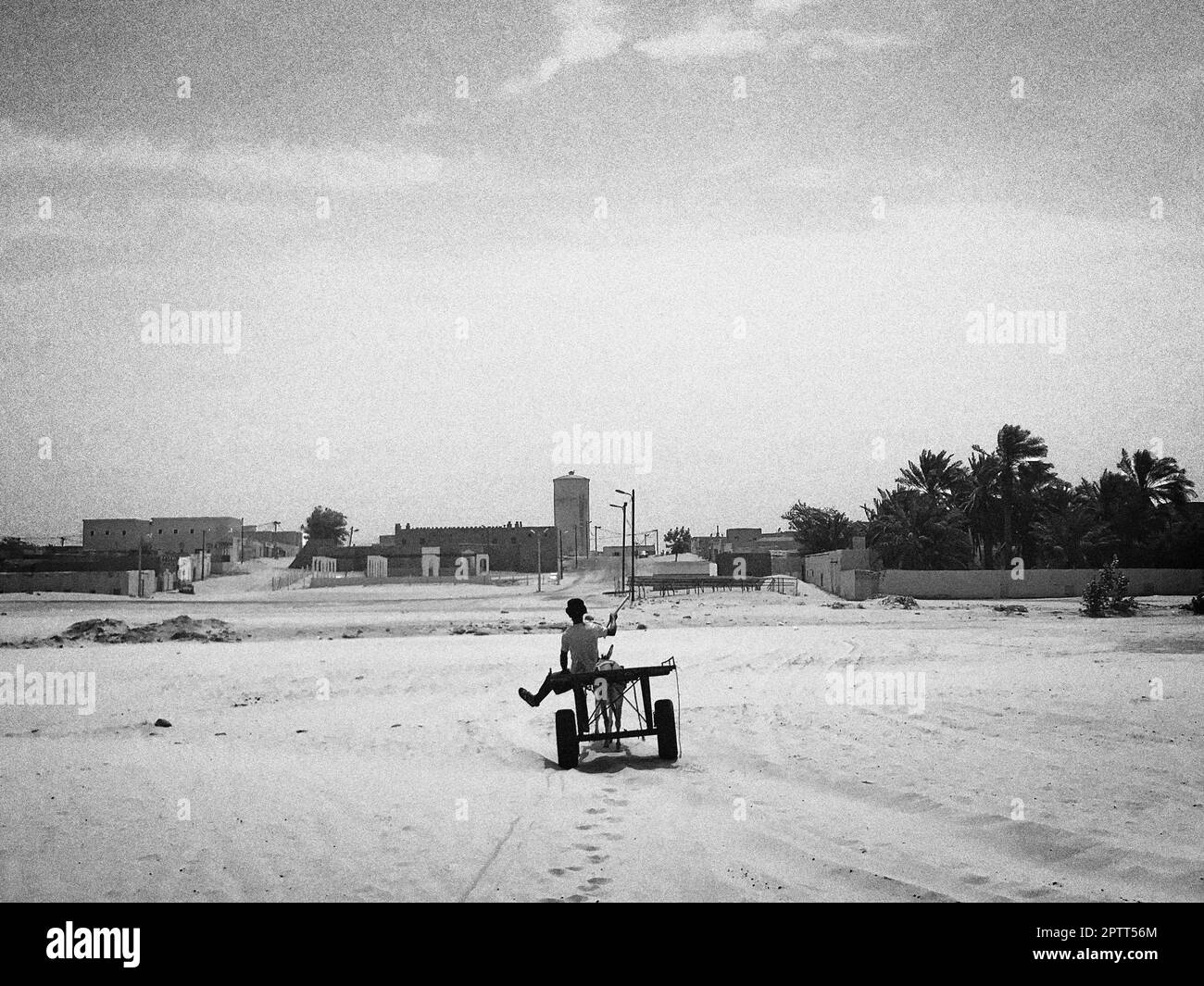 Mauritania, Chinguetti, batha Stock Photo - Alamy
