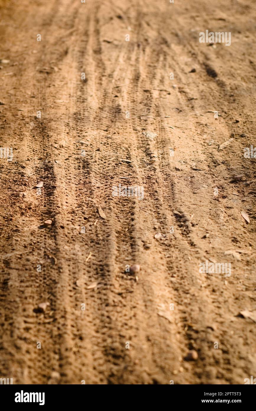 Bicycle tracks on a dirt trail. Close up detail Stock Photo - Alamy