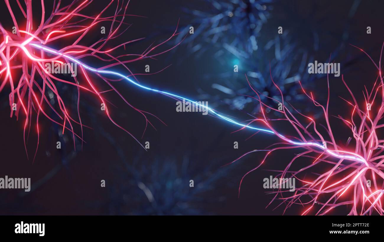 Two brain cells communicating. Neuroscience, medical concept digital ...