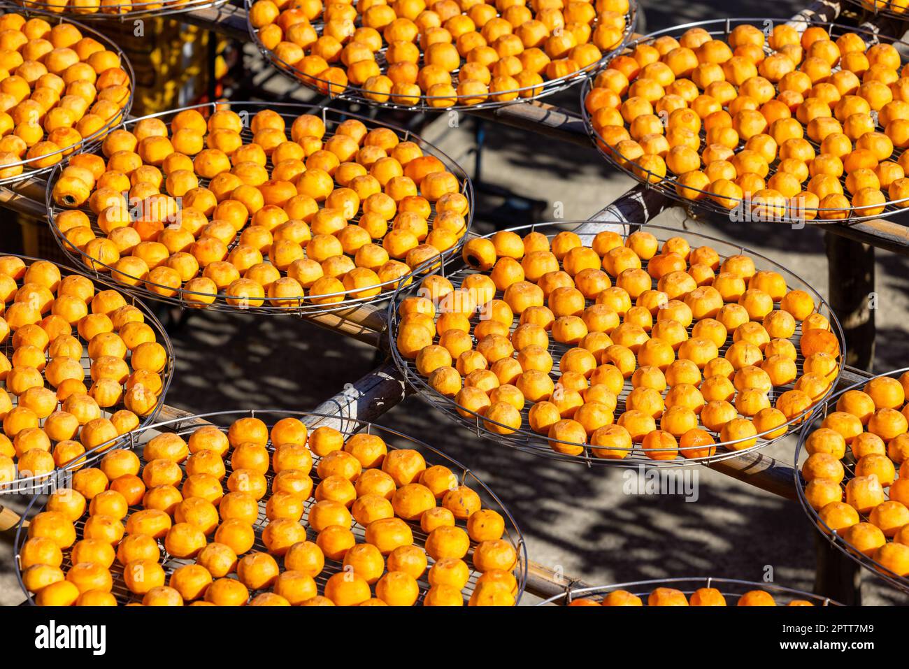 Dry Persimmon fruit production under sunshine in factory Stock Photo ...