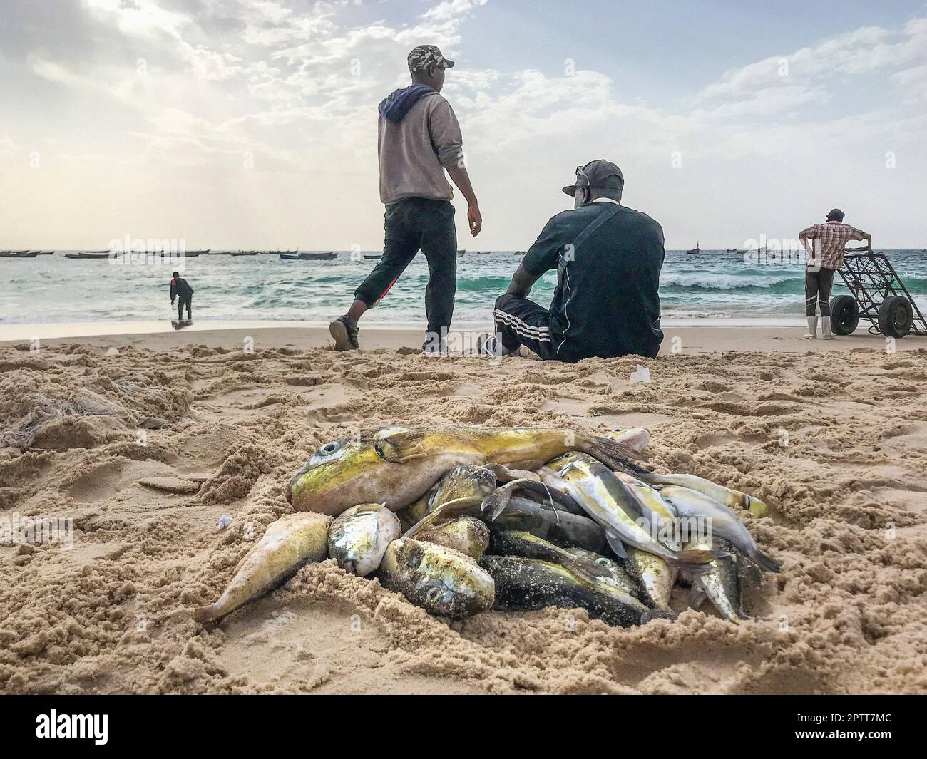 Mauritania fishing hi-res stock photography and images - Alamy