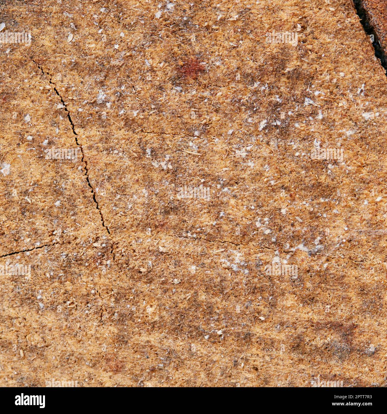 Chipwood hi-res stock photography and images - Alamy