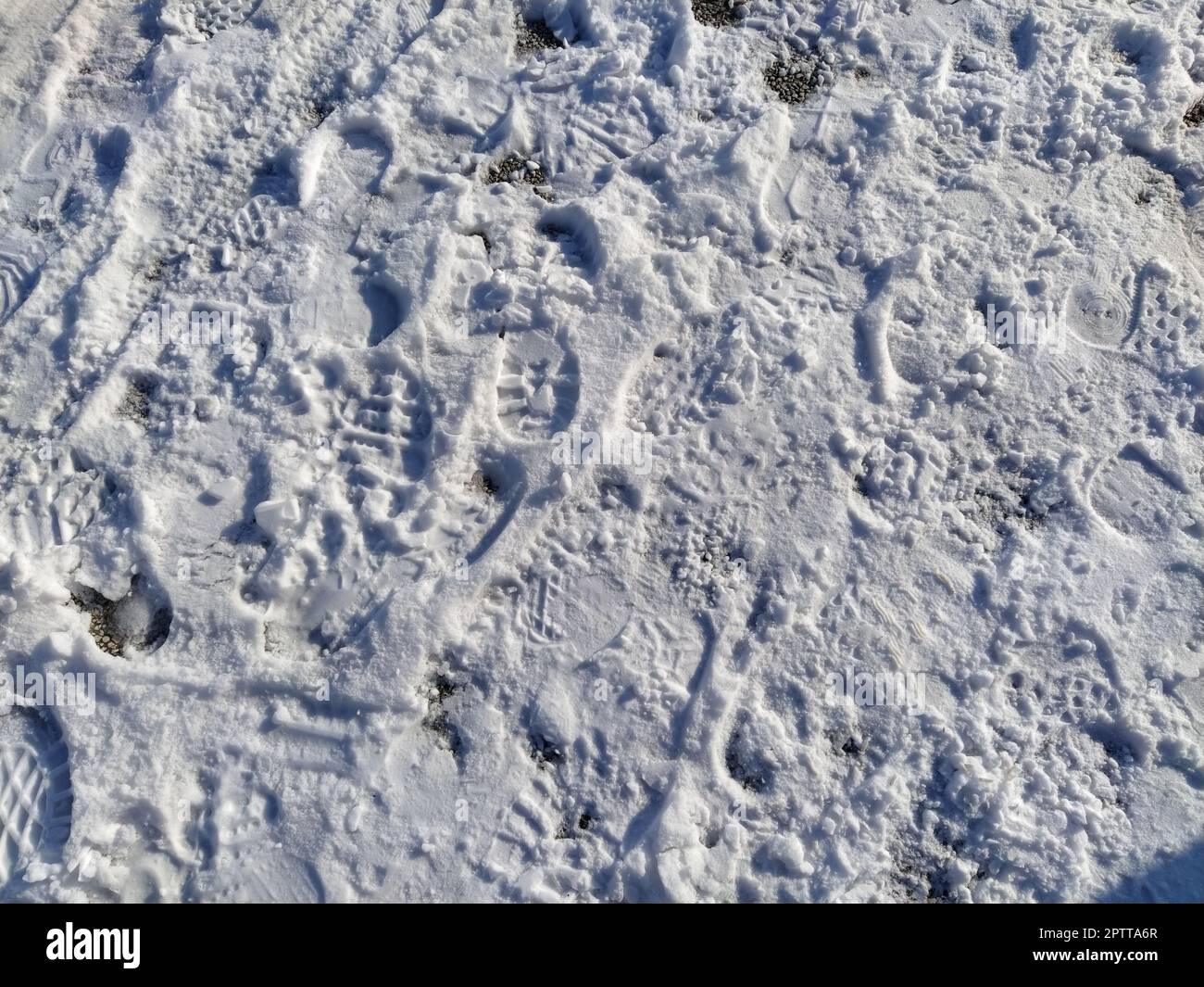 Footprints of boots in the snow. Lots of human footprints on fresh ...