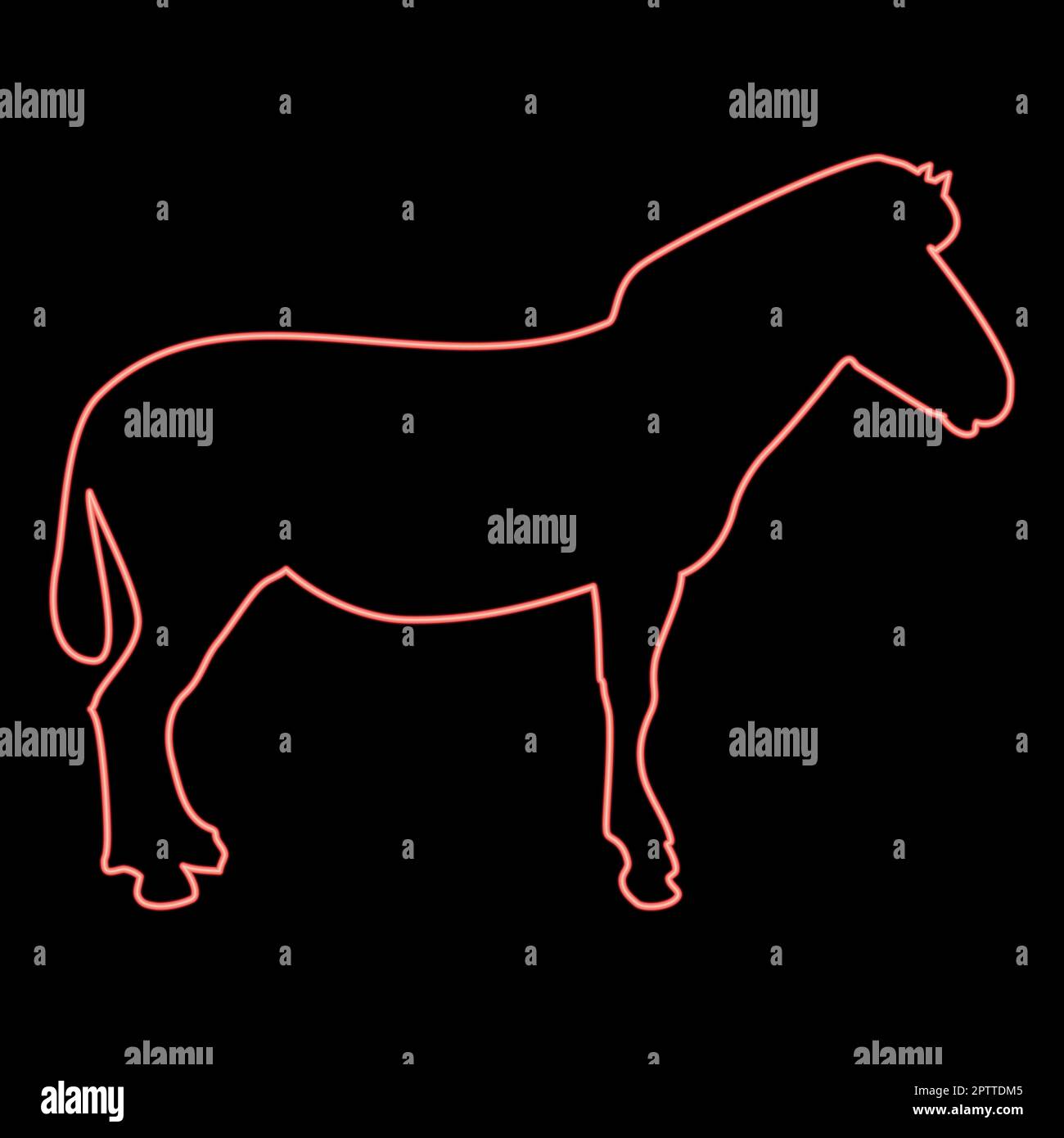 Neon zebra stand Animal standing red color vector illustration image ...