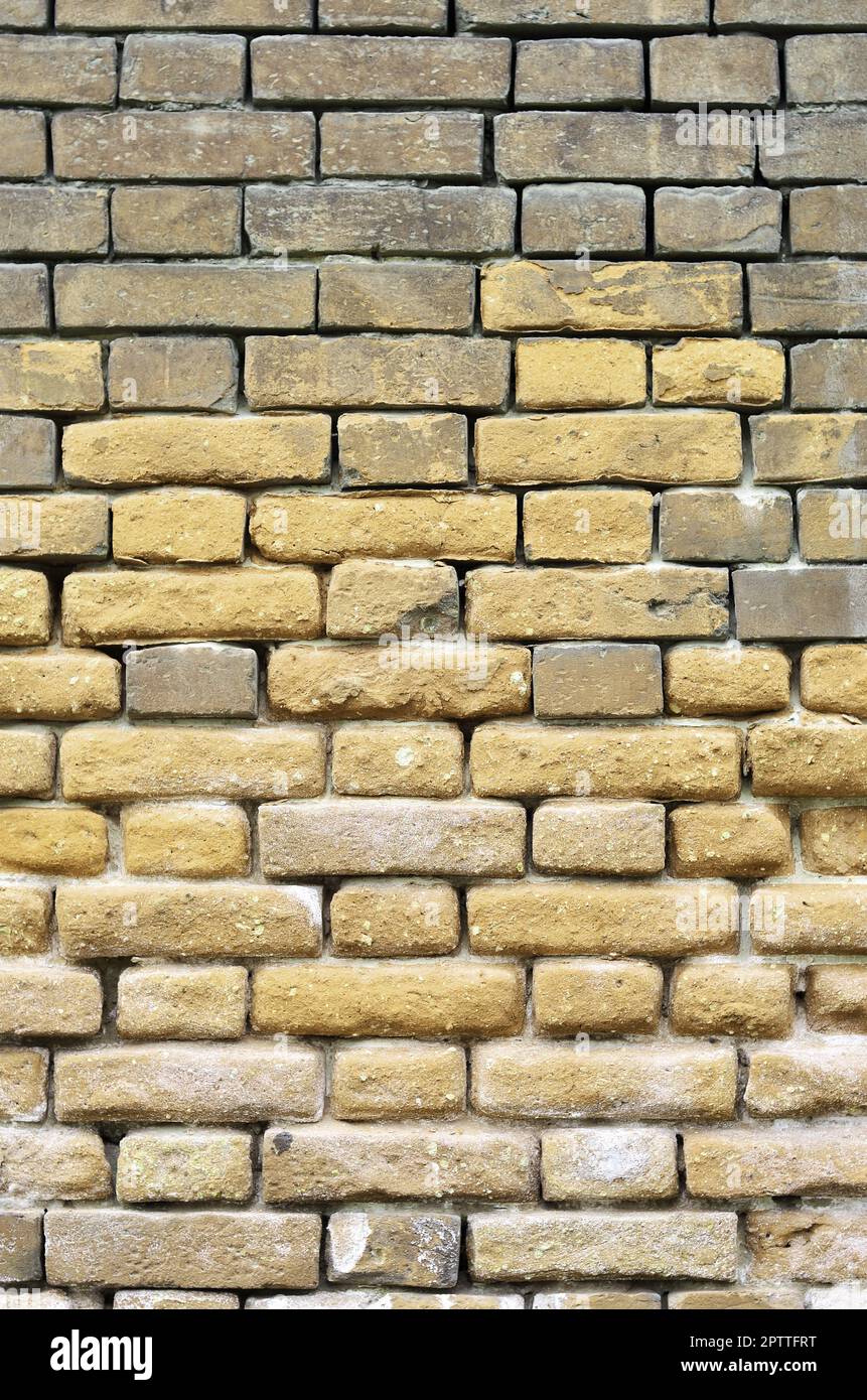 The texture of yellow wall from a variety of old and dirty brick ...