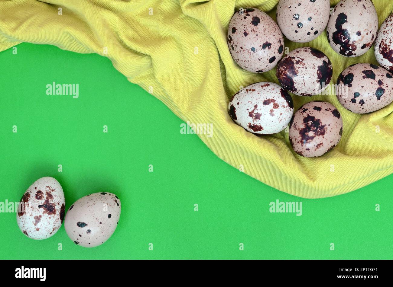 Quail eggs on a light green surface, top view, empty place for text ...