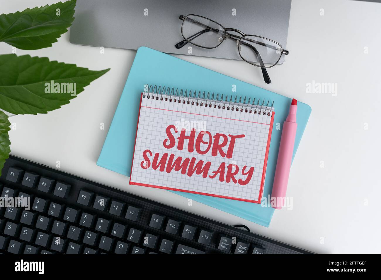 Handwriting text Short Summary, Business idea Brief statement of main ...