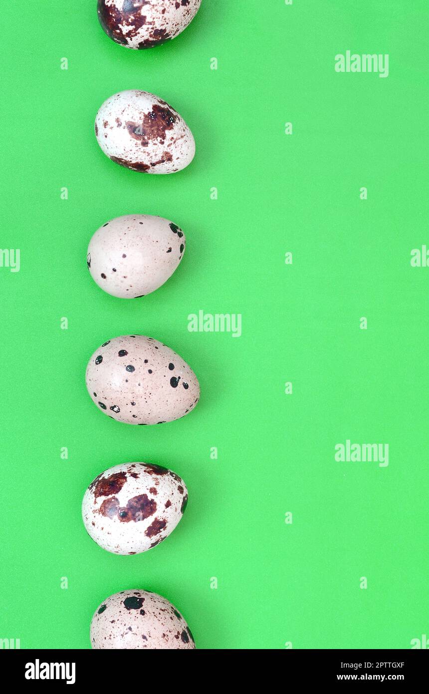 Quail eggs on a light green surface, top view, empty place for text ...