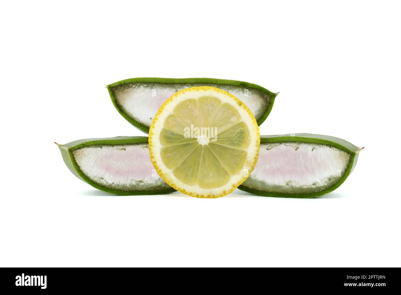 Aloe Vera leaf and lemon slices isolated on white background, natural ...