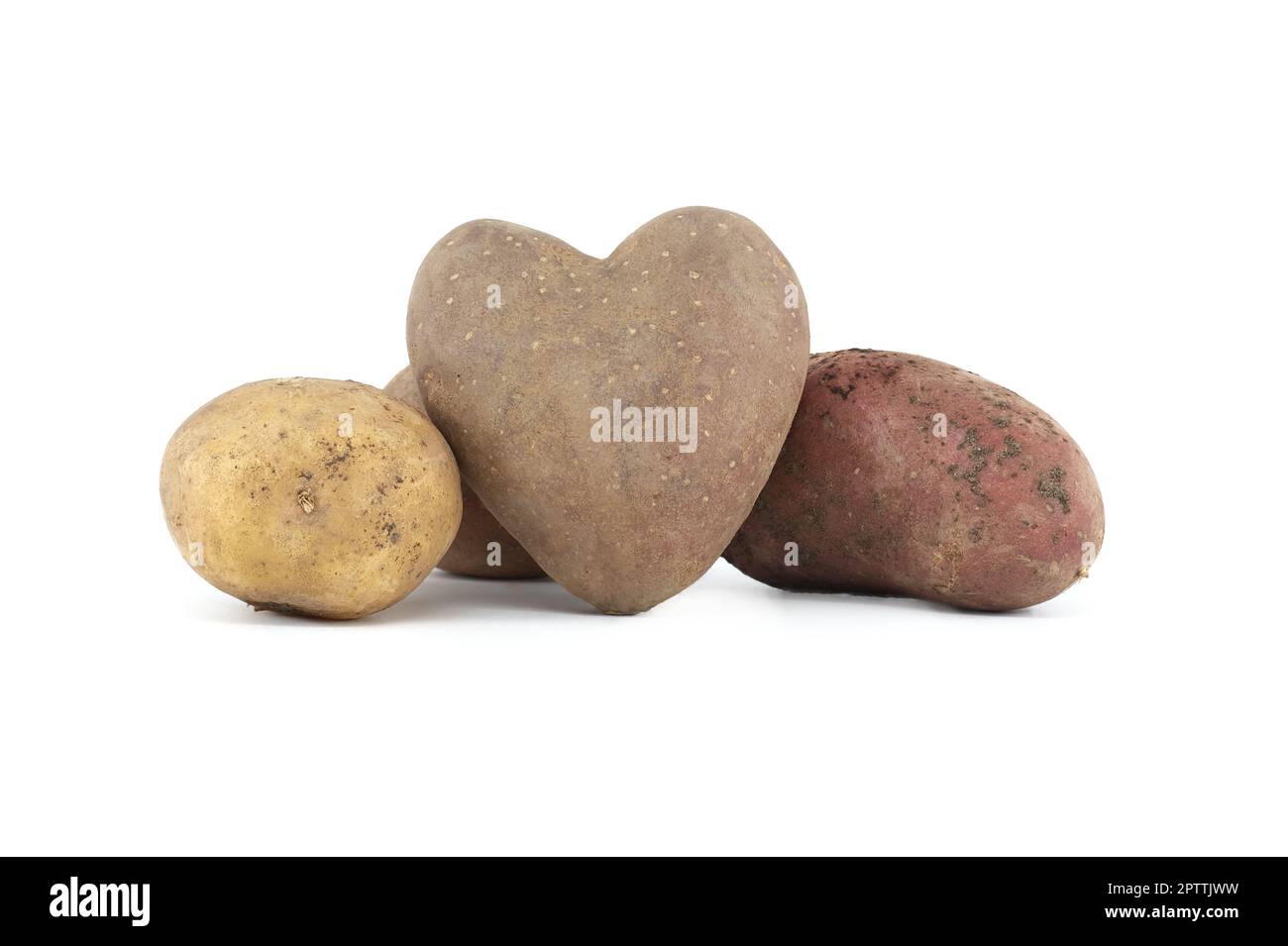 Heart-shaped potato in front of a pile of different types potatoes over ...