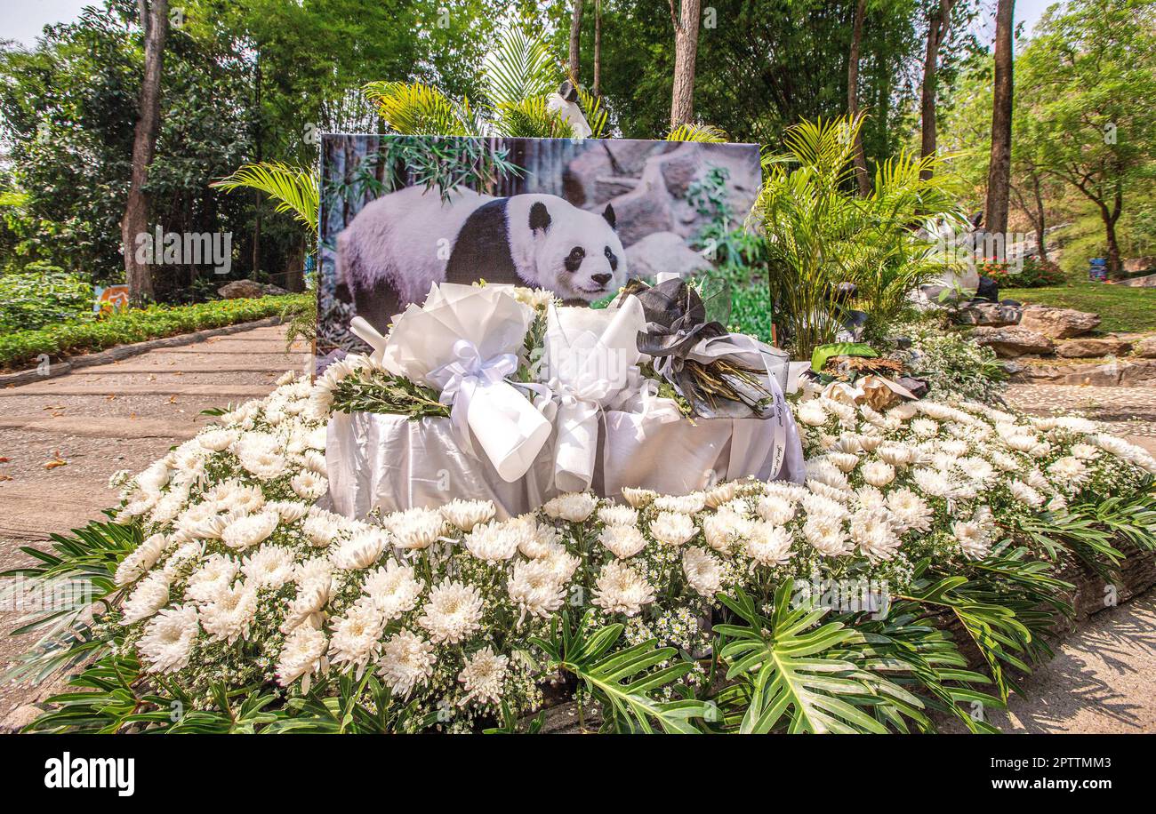 (230428) -- CHIANG MAI, April 28, 2023 (Xinhua) -- This photo taken on ...