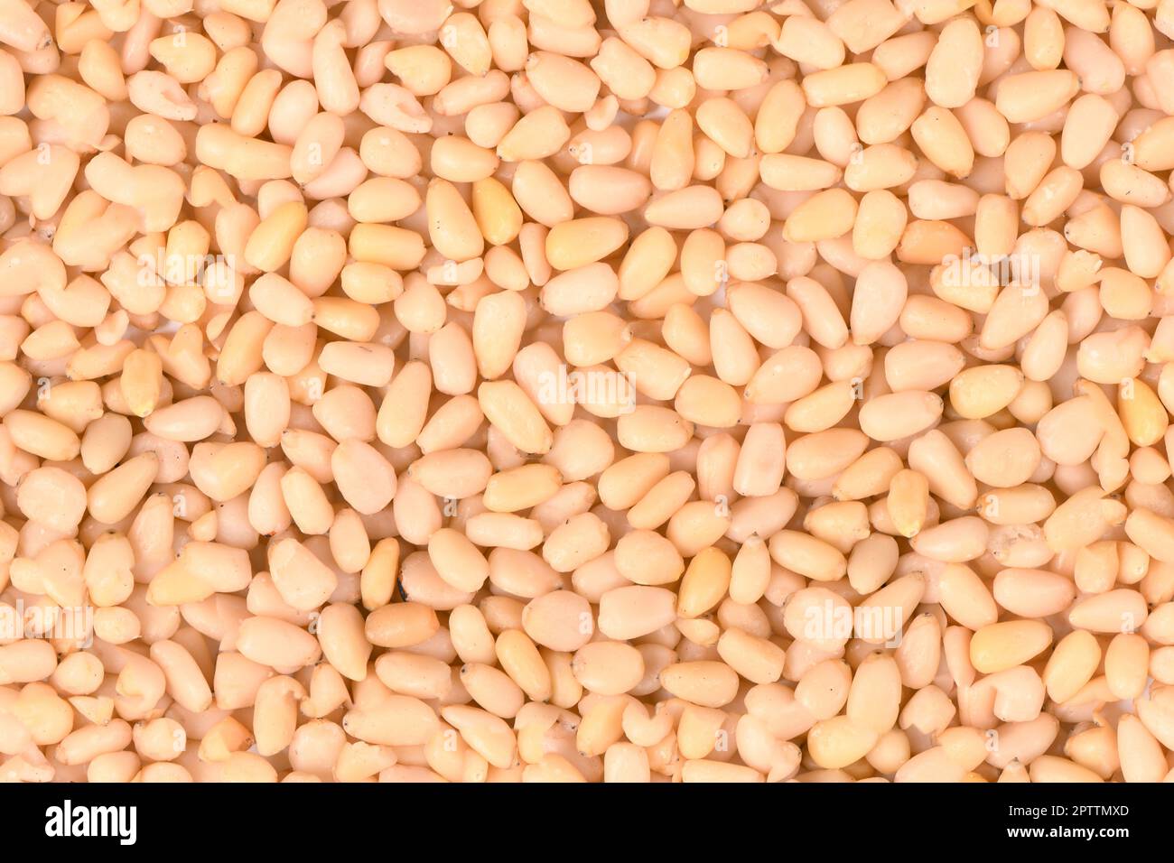 Seamless texture or wallpaper, Pine nuts top view. High resolution ...