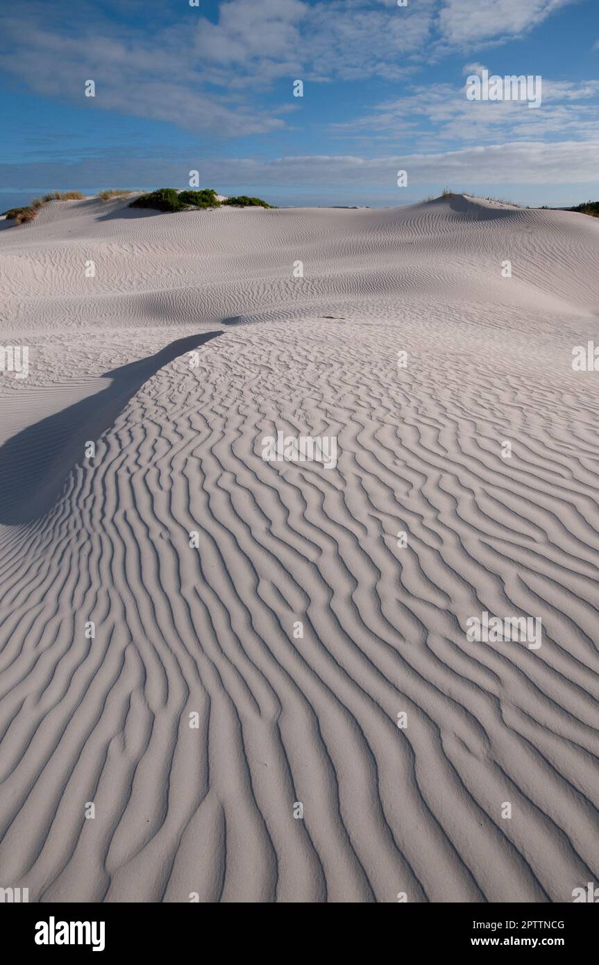 Struis point hi-res stock photography and images - Alamy