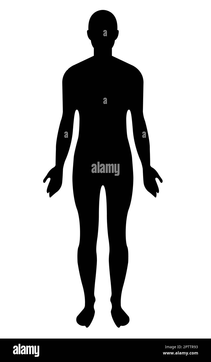 Outline of Human Body Stock Photo - Alamy