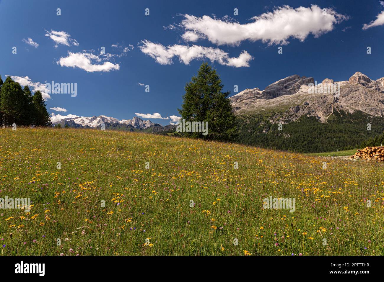 Dolomiti Alps in Alta Badia landscape amd peaks view, Trentino Alto ...