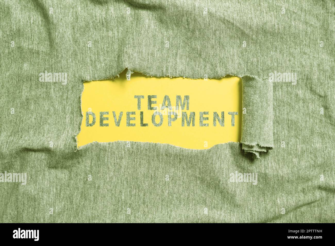 Conceptual display Team Development, Concept meaning the enhancement of ...