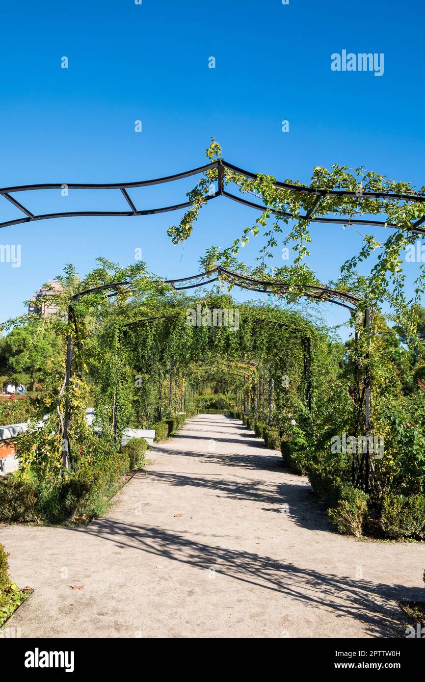 Spain, Madrid, Parque de El Retiro, Rosaleda de Cecilio Rodriguez Stock ...