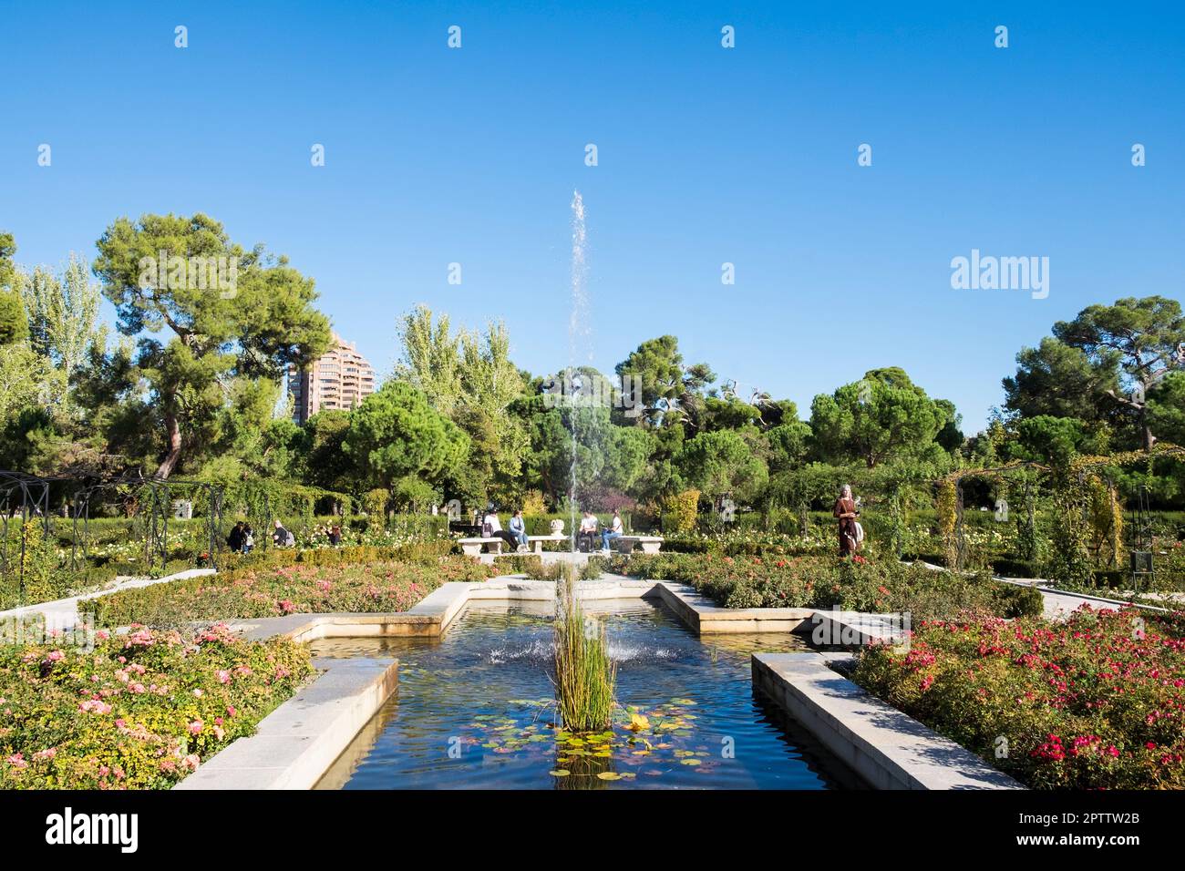 Spain, Madrid, Parque de El Retiro, Rosaleda de Cecilio Rodriguez Stock ...