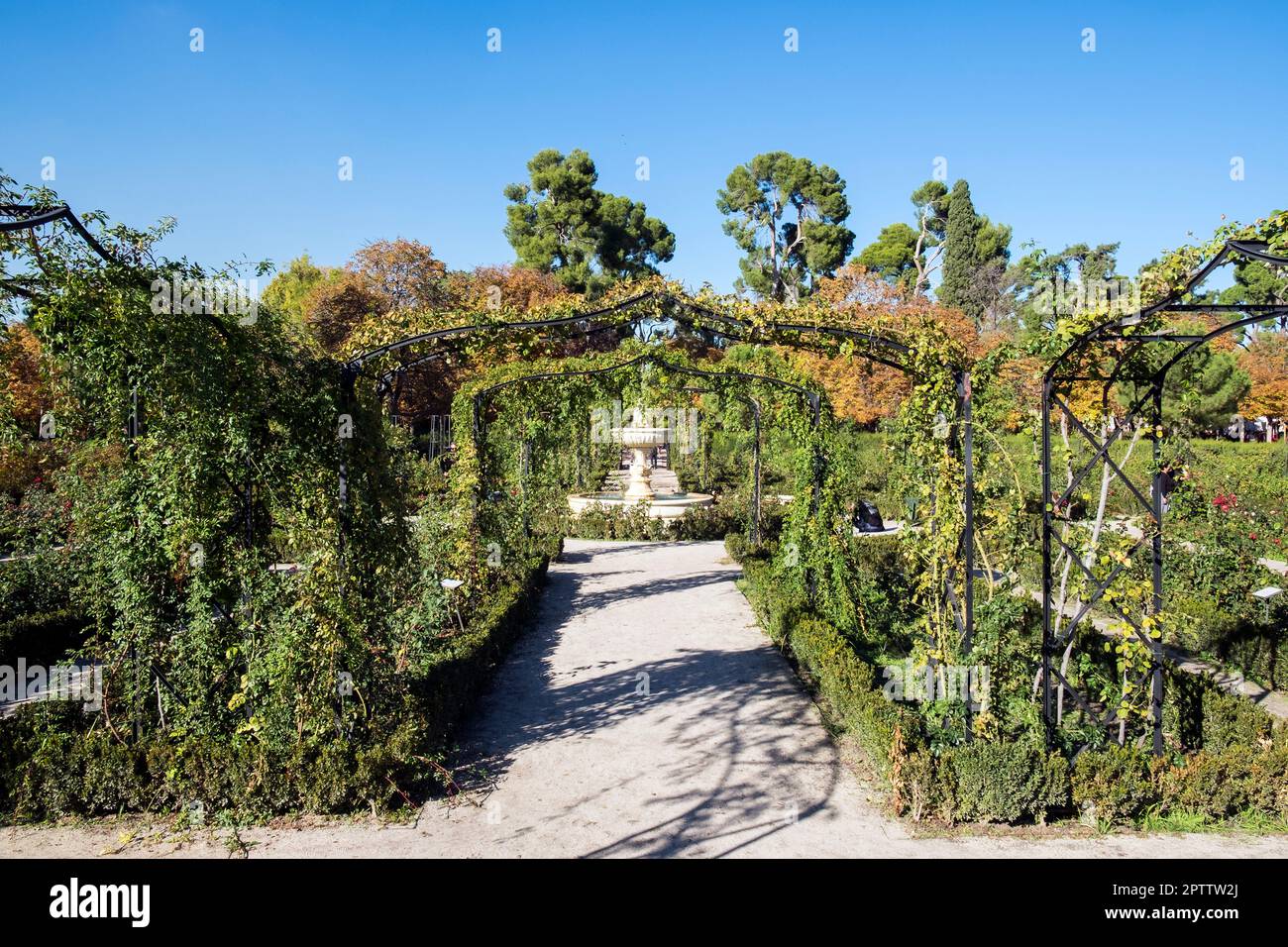 Spain, Madrid, Parque de El Retiro, Rosaleda de Cecilio Rodriguez Stock ...