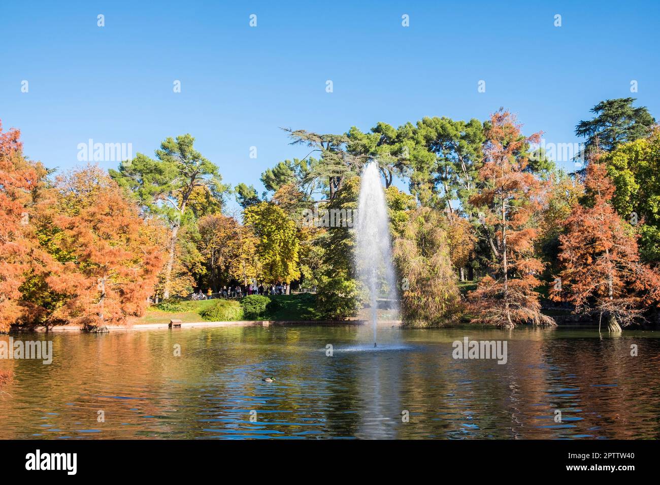 Retiro park botanical garden hi-res stock photography and images - Alamy