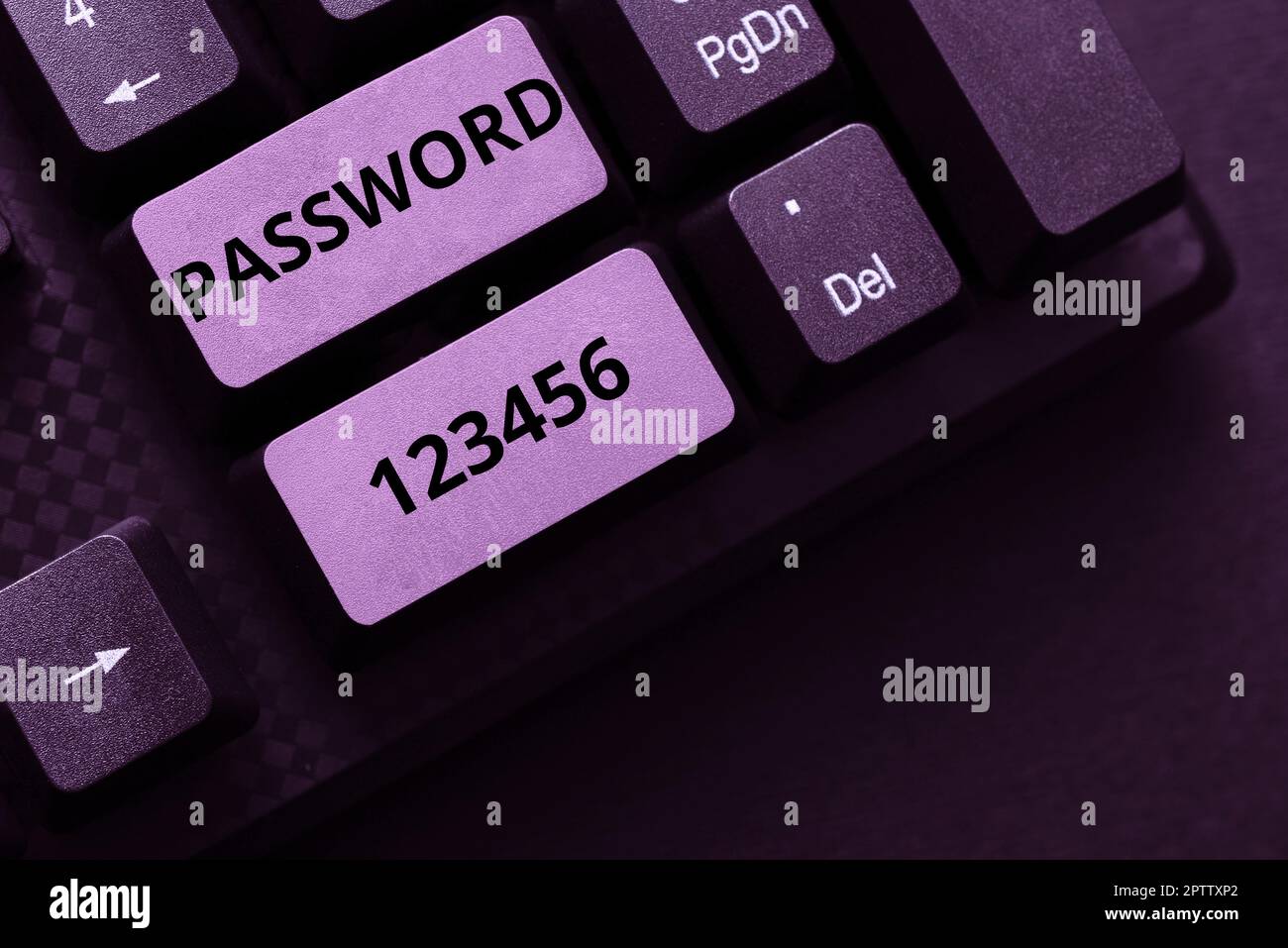 Text showing inspiration Password 123456, Word for the hidden word or ...