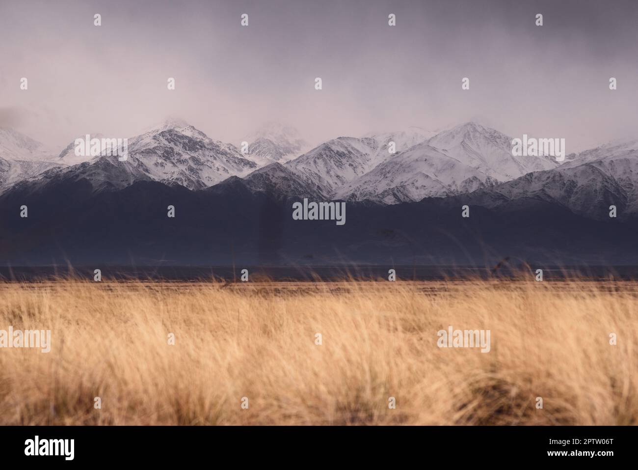 Cold, dry grasslands by the snowy Andes mountains, in Tupungato ...