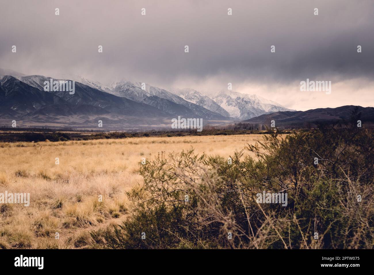 Cold, dry grasslands by the snowy Andes mountains, in Tupungato ...