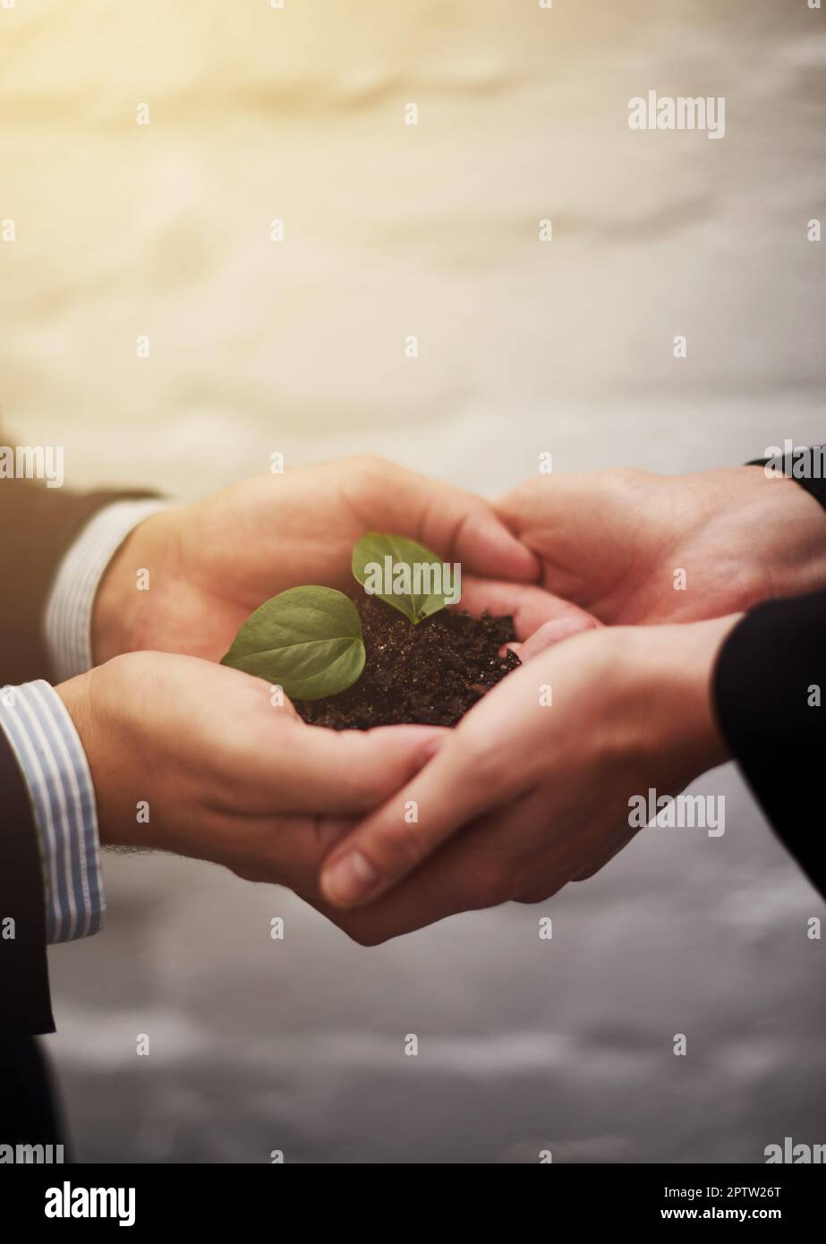 The beginning of a budding business relationship. businesspeople ...