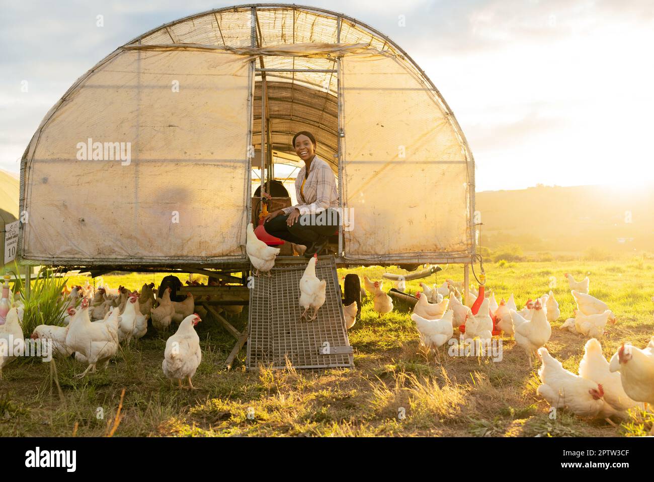 Poultry farm, black woman and chicken coop for sustainable farming ...