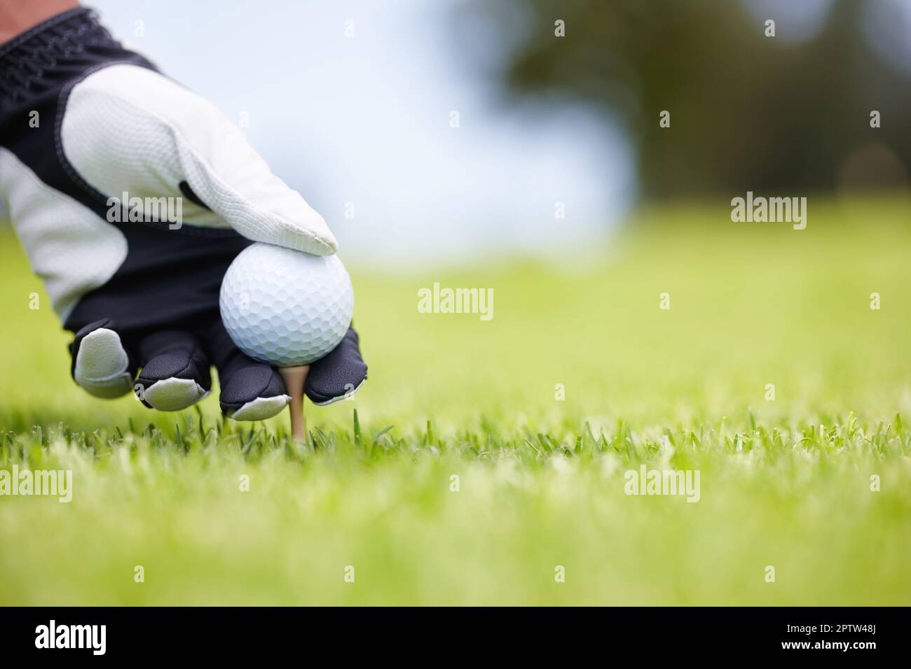 Lets get this ball rolling. Cropped image of a golfer placing the ball ...