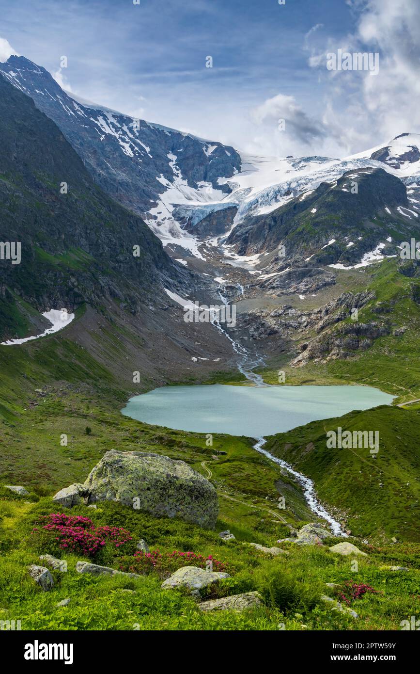 Typical alpine landscape of Swiss Alps with Steinsee, Urner Alps ...
