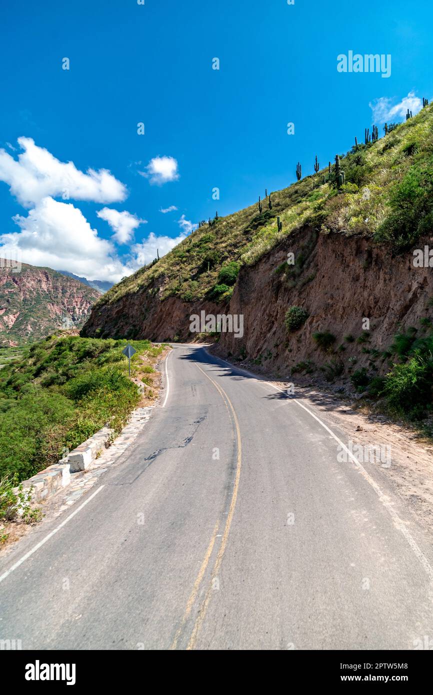 magnificent panorama of the South American Andes with road and nature ...