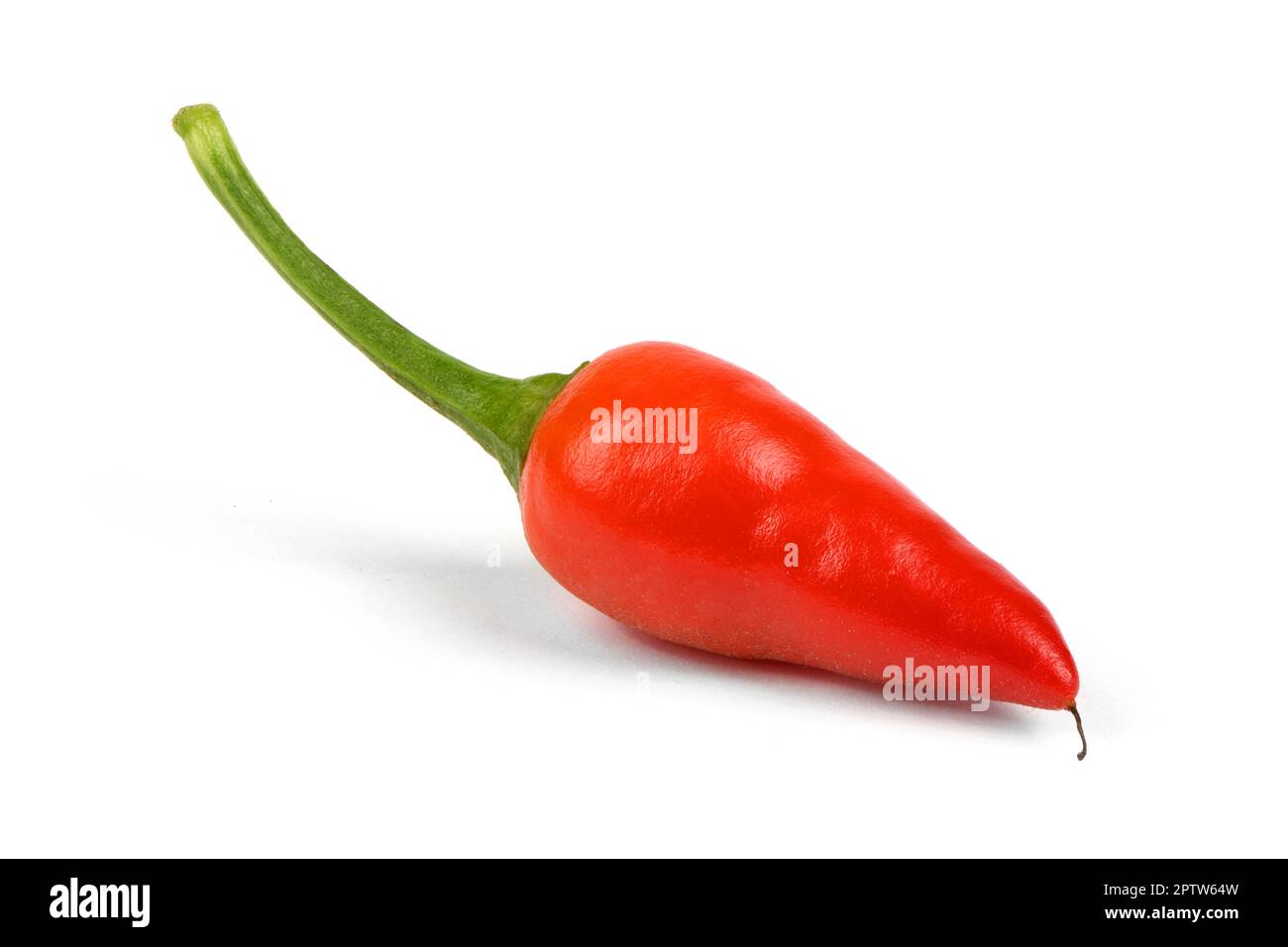 Red hot peppers. Side view. High resolution photo. Full depth of field ...