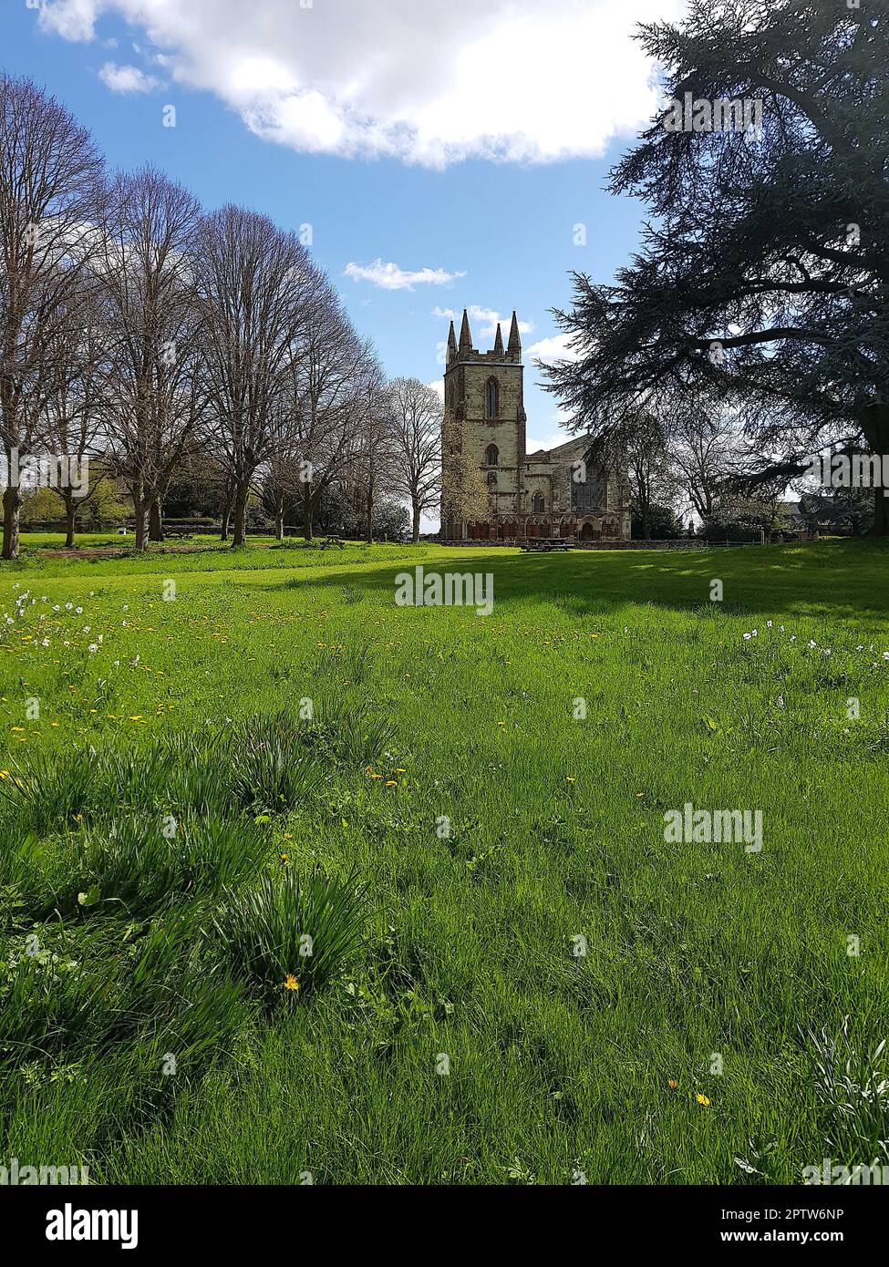 Coronation meadow hi-res stock photography and images - Alamy