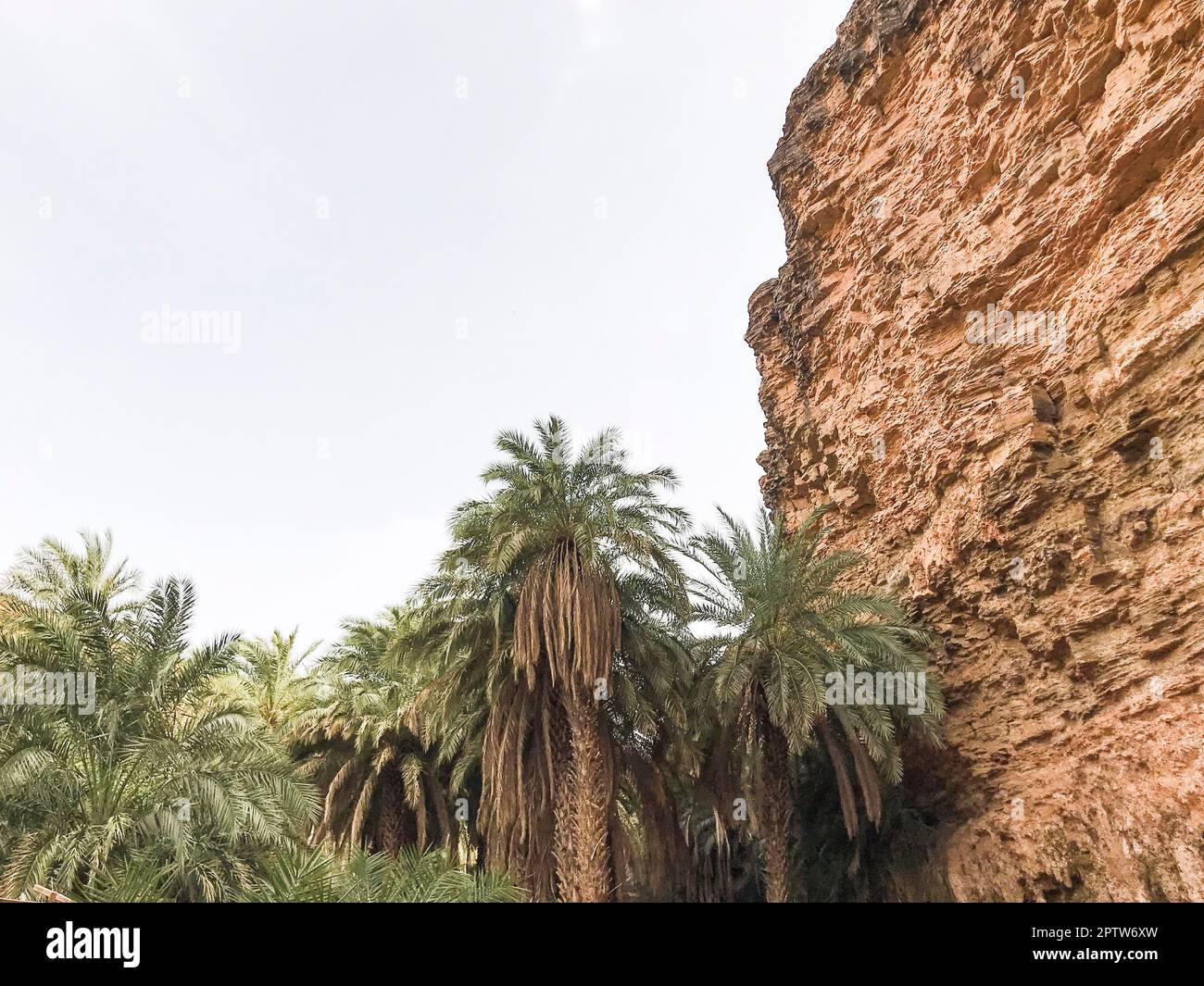 Mauritania, Terjit Oasis Stock Photo - Alamy