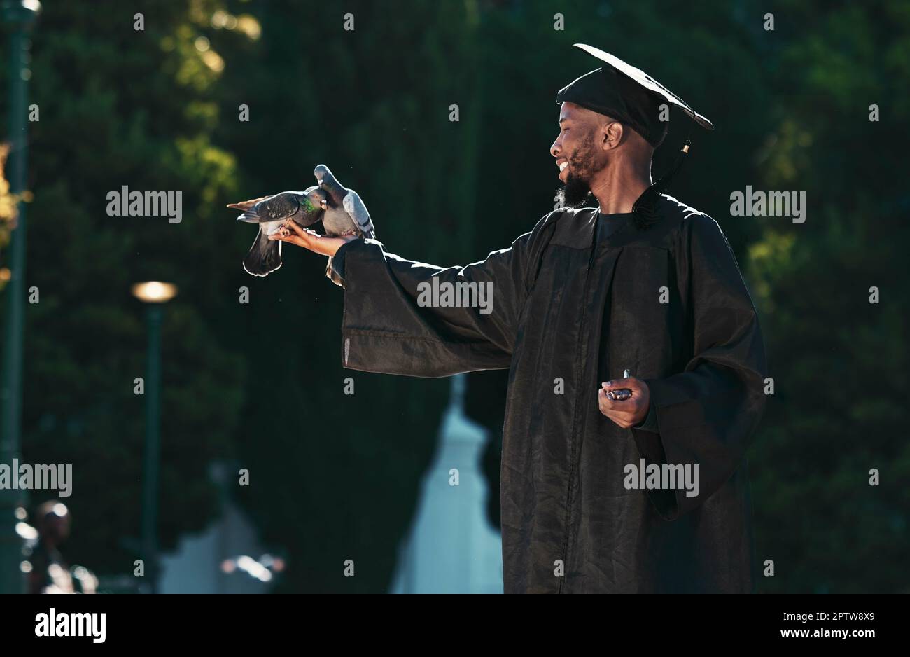 Holding pigeons hi-res stock photography and images - Alamy