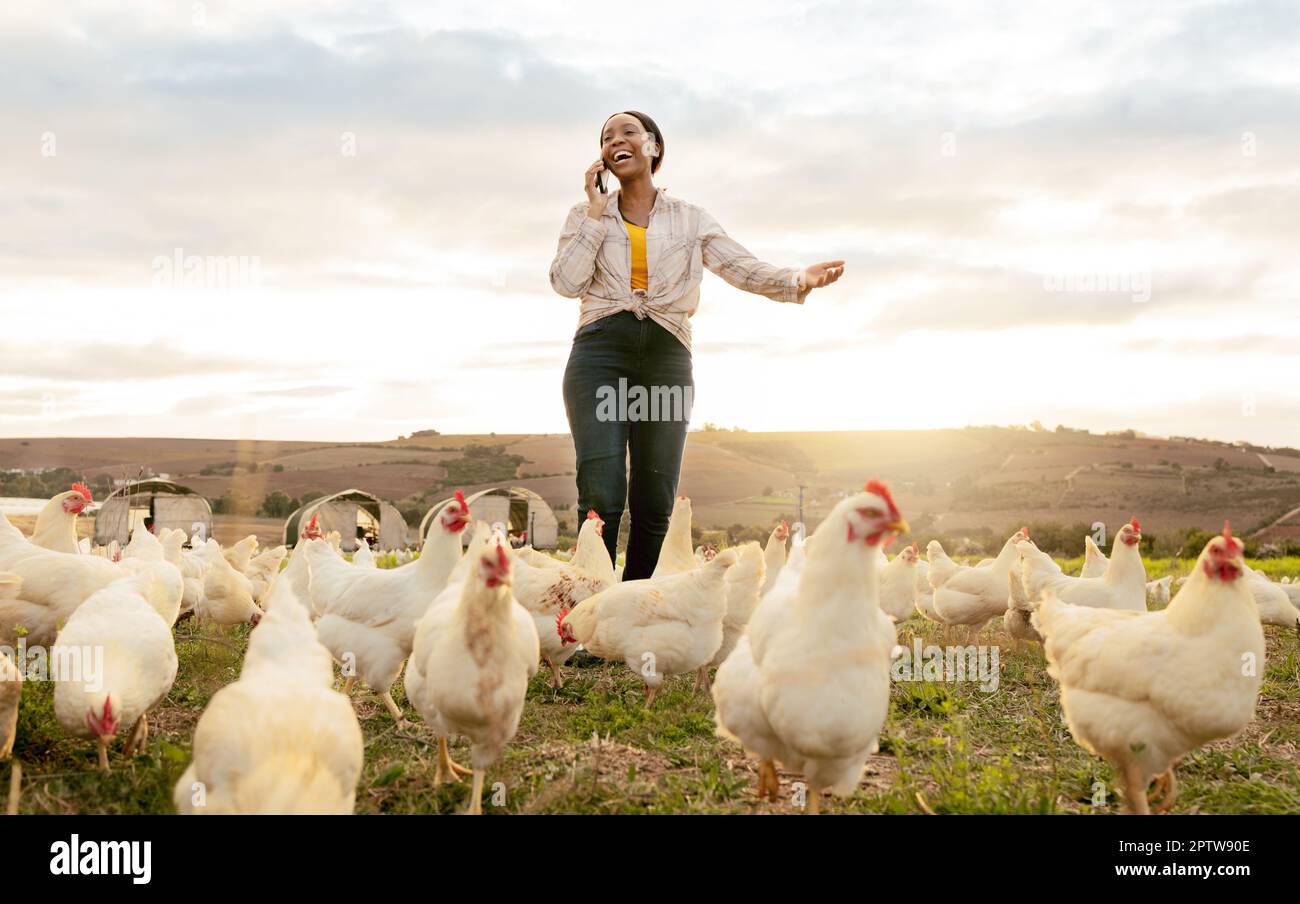 Poultry technology hi-res stock photography and images - Alamy