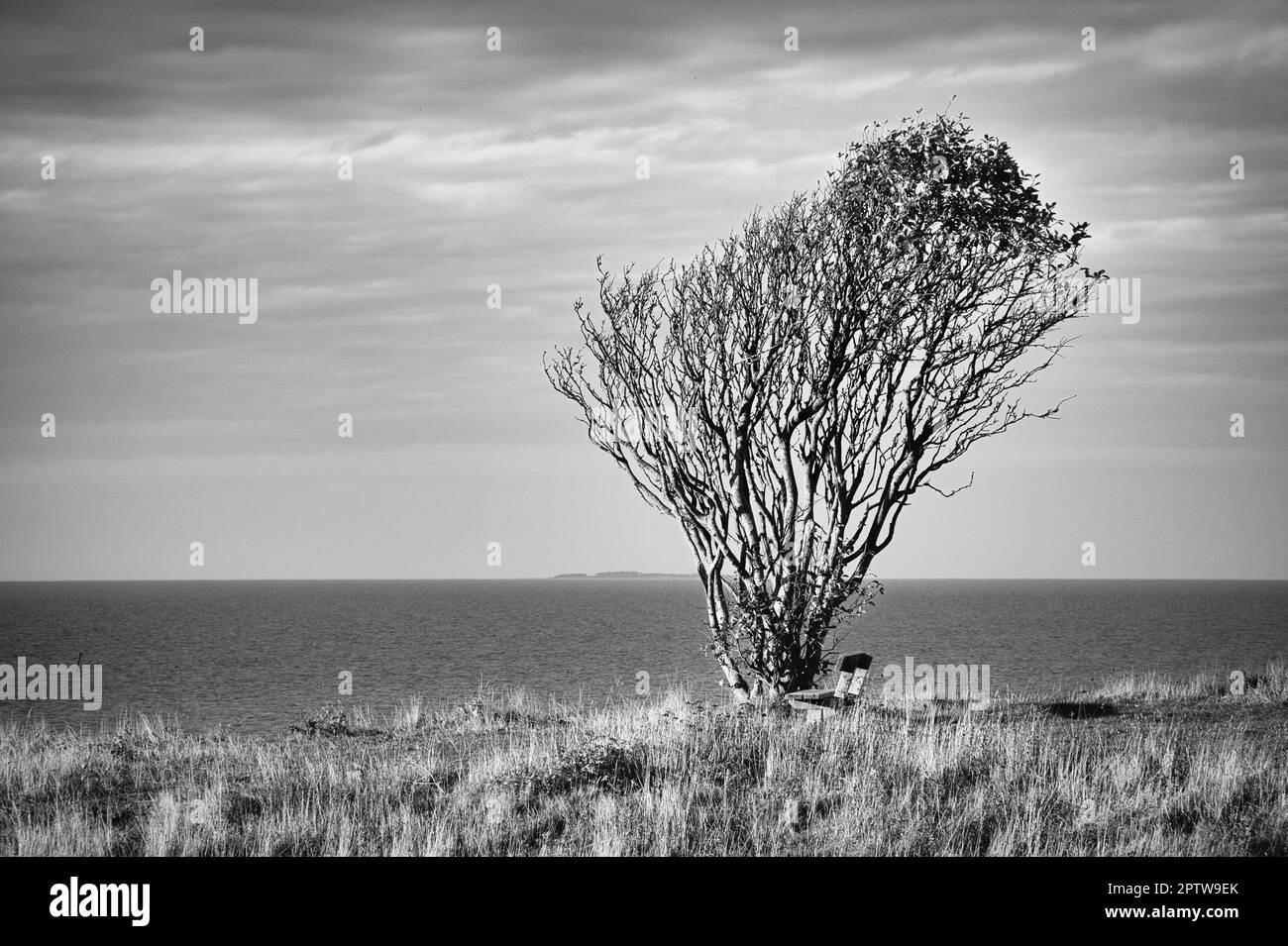 Sky cliff walk Black and White Stock Photos & Images - Alamy